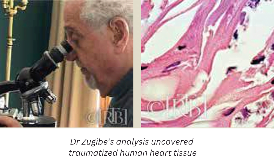 Eucharistic Miracles of Buenos Aires, Argentina, 1992-1994-1996 | This ...